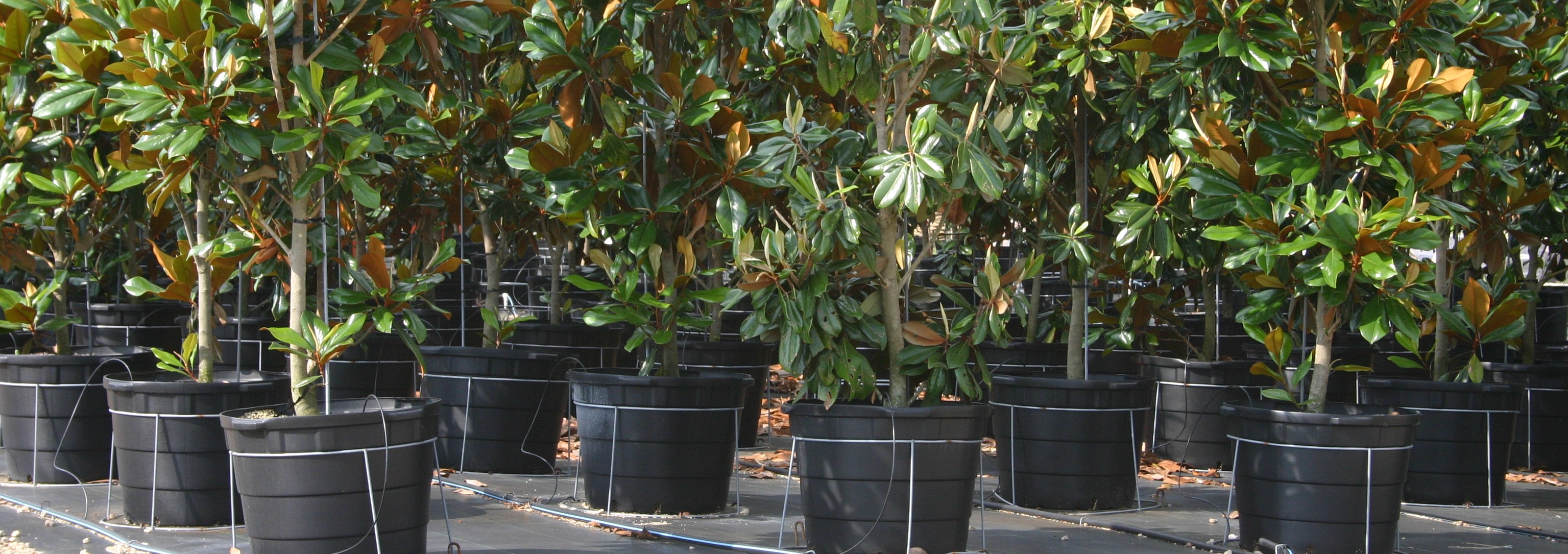 header pic – Haviland Plastic Products